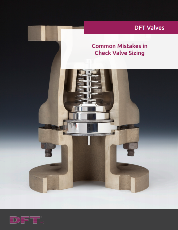 Download Our Check Valve Sizing eBook | DFT® Inc