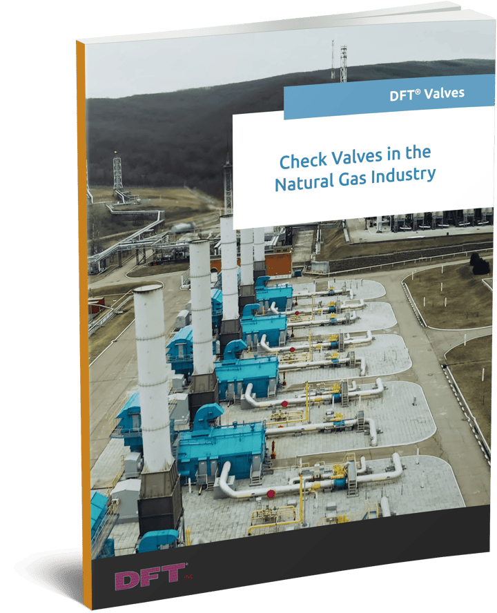 Check Valves in the Natural Gas Industry | DFT® Inc
